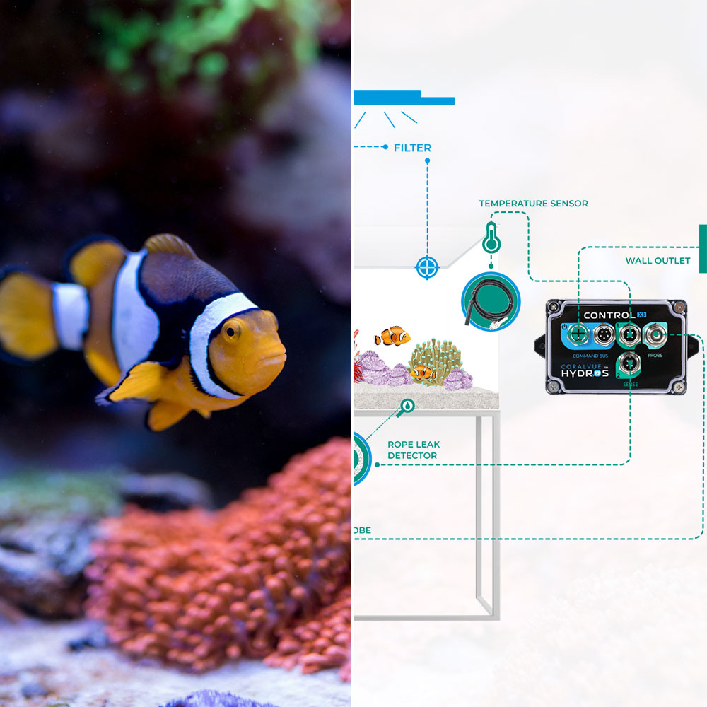 HYDROS | Customized Aquarium Controller