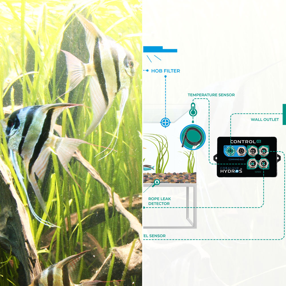 HYDROS | Customized Aquarium Controller