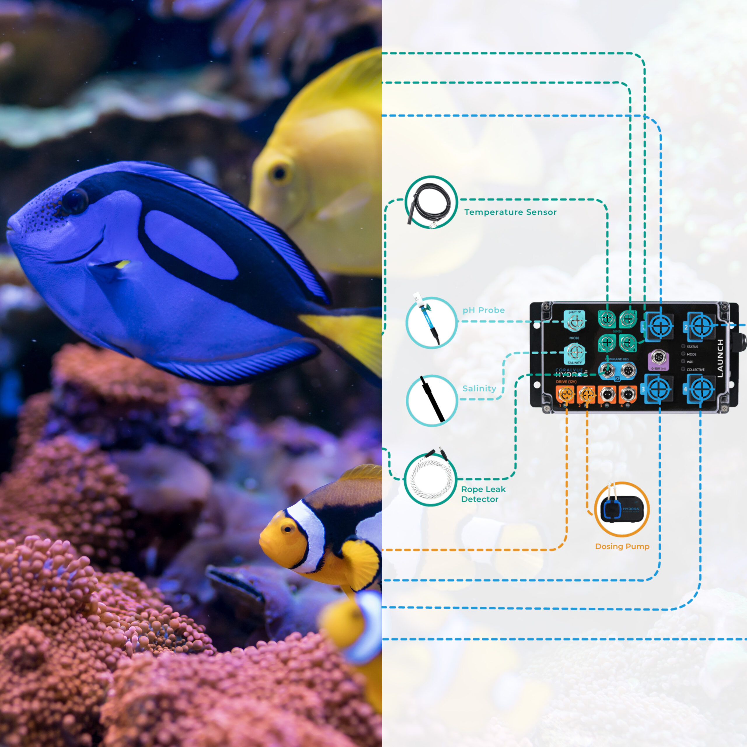 HYDROS | Customized Aquarium Controller